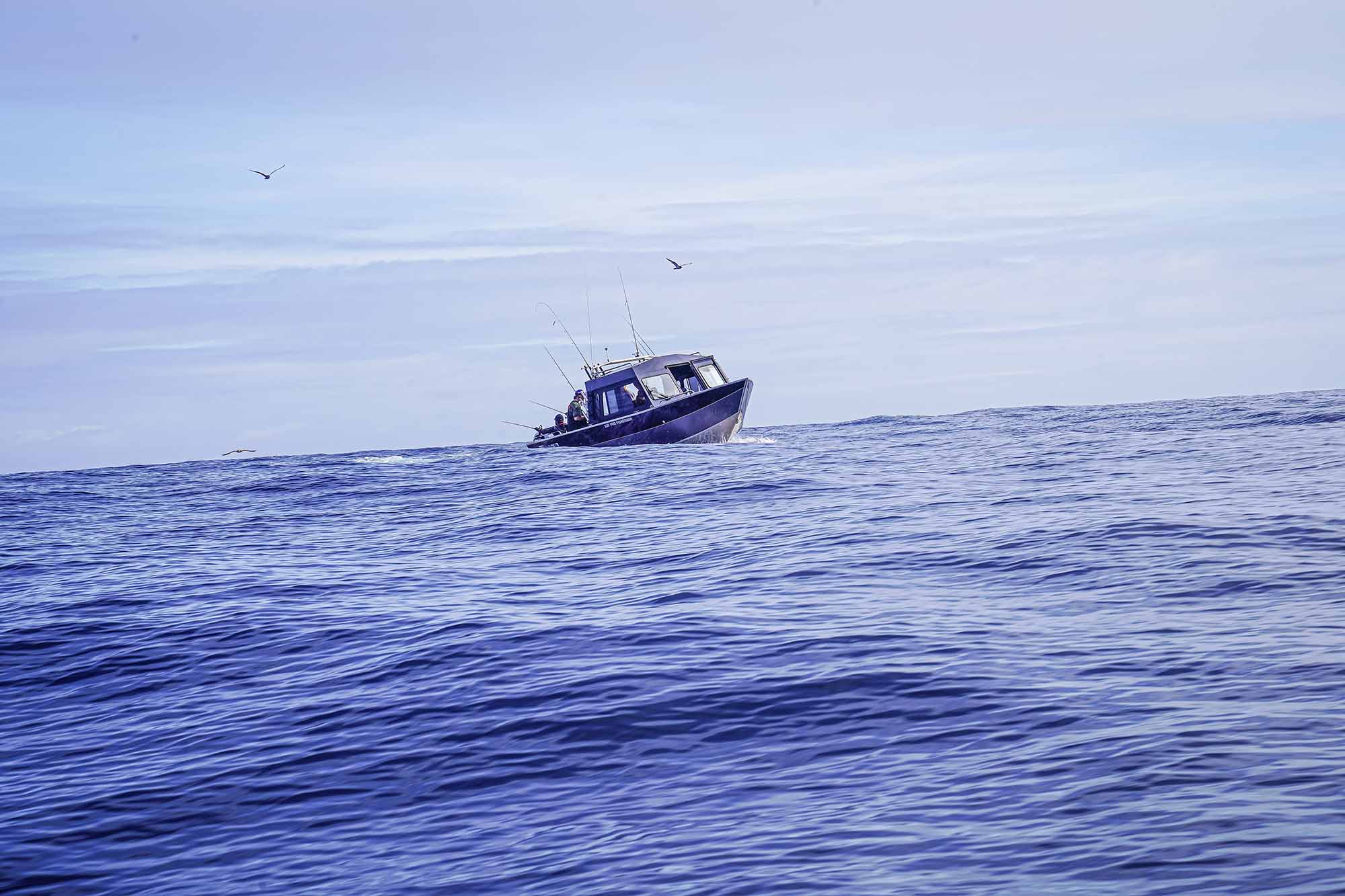 Pro Fish Series | Raider Aluminum Boats | Colville Washington